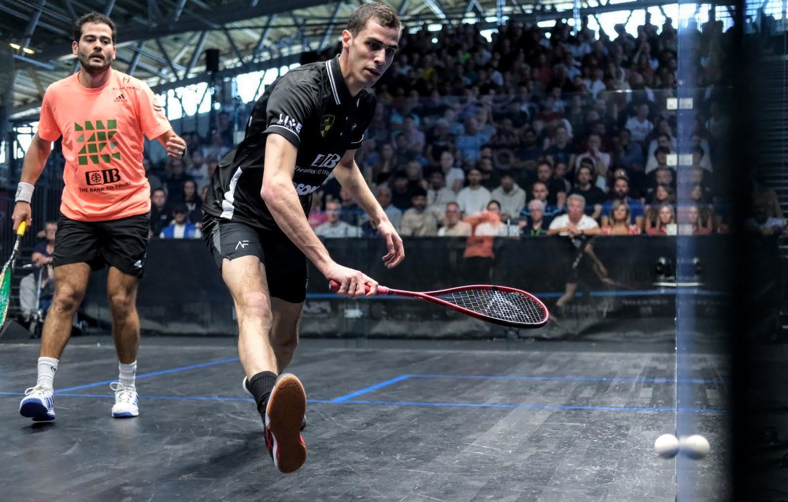 The Squash Glossary - A Comprehensive Guide To Squash Lingo